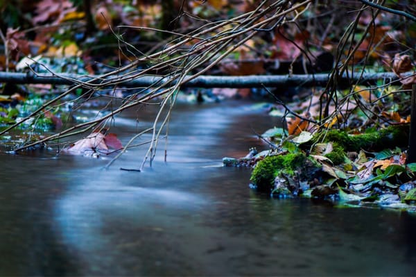 TACOMA RC RACEWAY - Updated December 2025 - 19 Photos & 19 Reviews ...