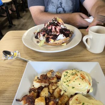 TURTLE CAFE - Updated December 2024 - 237 Photos & 305 Reviews - 4 ...