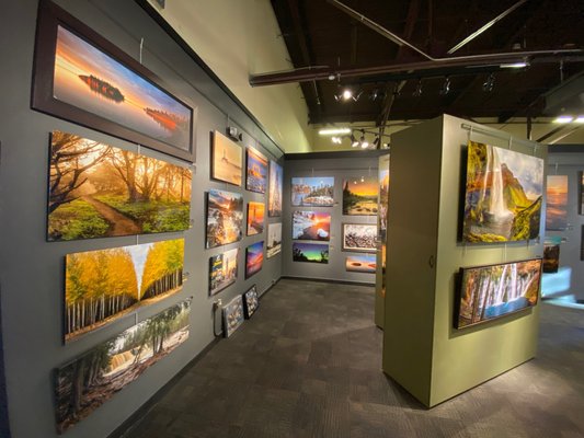 TISCHER GALLERY - Updated November 2024 - 11 Photos - 395 S Lake Ave ...