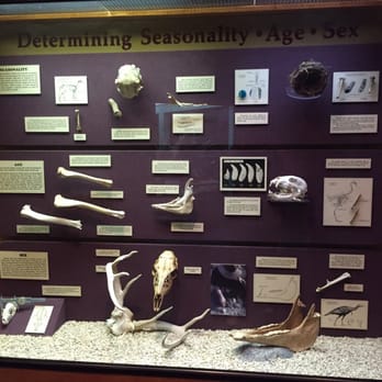 MAINE STATE MUSEUM - Updated October 2025 - 23 Photos & 17 Reviews ...