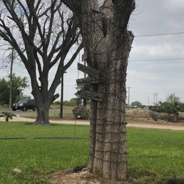 492 BBQ - Updated October 2025 - 38 Photos & 74 Reviews - 4126 N Fm 492 ...