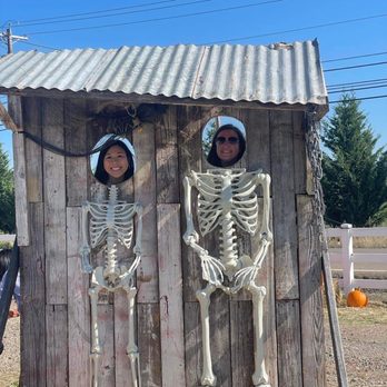 YESTERYEAR FARMS - TEMP. CLOSED - Updated May 2025 - 181 Photos & 99 ...