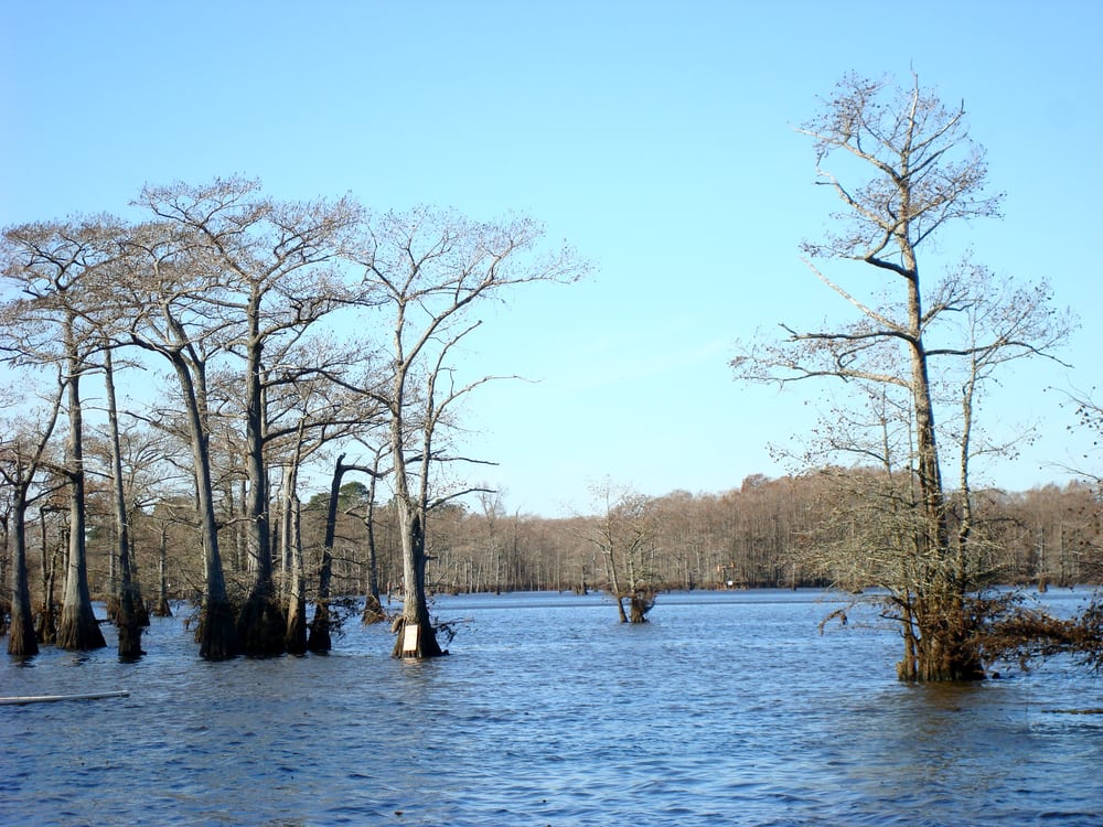 PETE’S SHADY REST - Updated December 2025 - 23 Photos - 10899 Shady ...