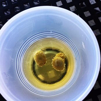 CHANNEL INN - Updated December 2025 - 21 Photos & 28 Reviews - 330 W ...