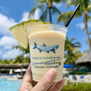 CHEF MICHAEL’S - Updated June 2024 - 550 Photos & 575 Reviews - 81671 ...