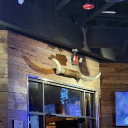 ROWDY COWBOY - Updated August 2025 - 118 Photos & 60 Reviews - 1713 ...