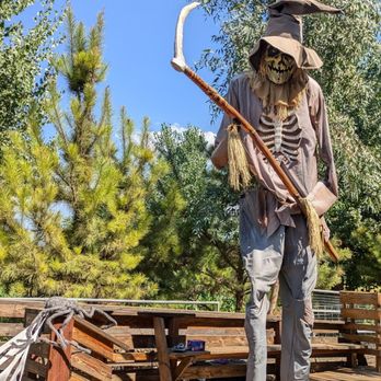 LIVE OAK CANYON PUMPKIN PATCH AND CHRISTMAS TREE FARM - Updated ...