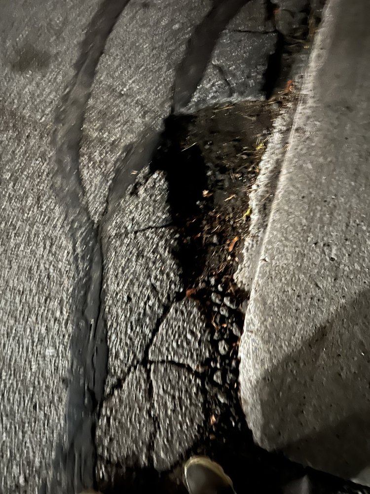 MERRIMAN WOODS - Updated July 2025 - 50 Photos - 19276 Merriman Rd ...