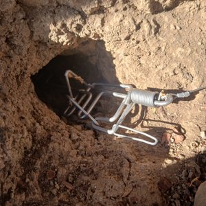 THE GOPHER GUY - 13 Reviews - Moss Beach, California - Pest Control ...