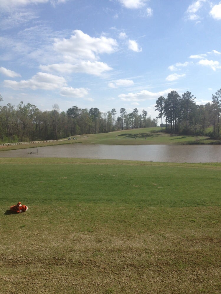 BARTRAM TRAIL GOLF CLUB - Updated December 2025 - 12 Reviews - 470 ...
