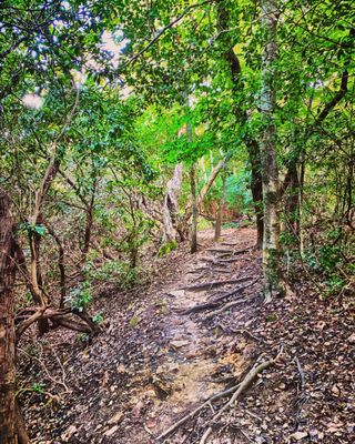 ENO QUARRY - Updated March 2025 - 54 Photos & 11 Reviews - 4955 Howe St ...