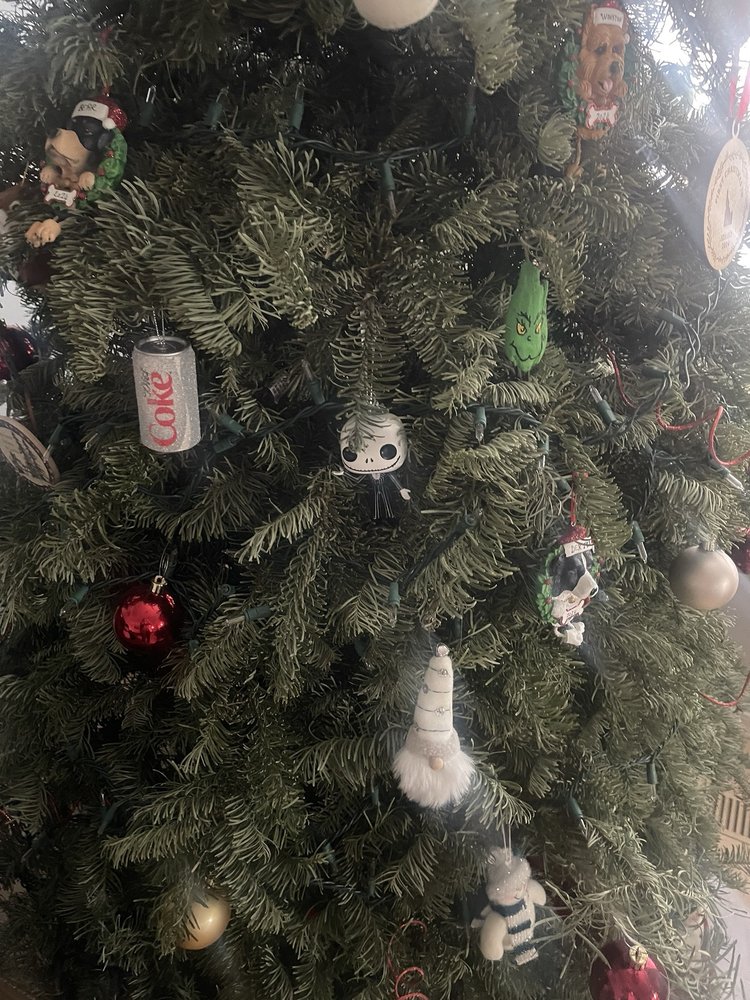 JORDAN’S PUMPKIN PATCH & CHRISTMAS TREE LOT - Updated June 2026 - 64 ...