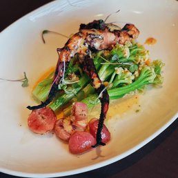 CALA BELLA SHINGLE CREEK - Updated April 2025 - 243 Photos & 108 ...