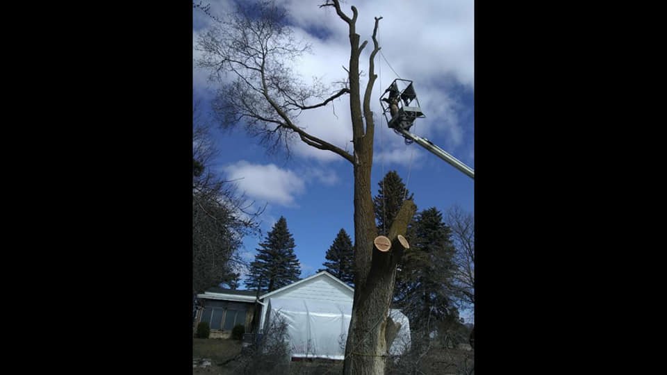 SPRUCE LEE TREES & ALL YOUR OUTDOOR NEEDS - 25 Photos - Alma, Michigan ...