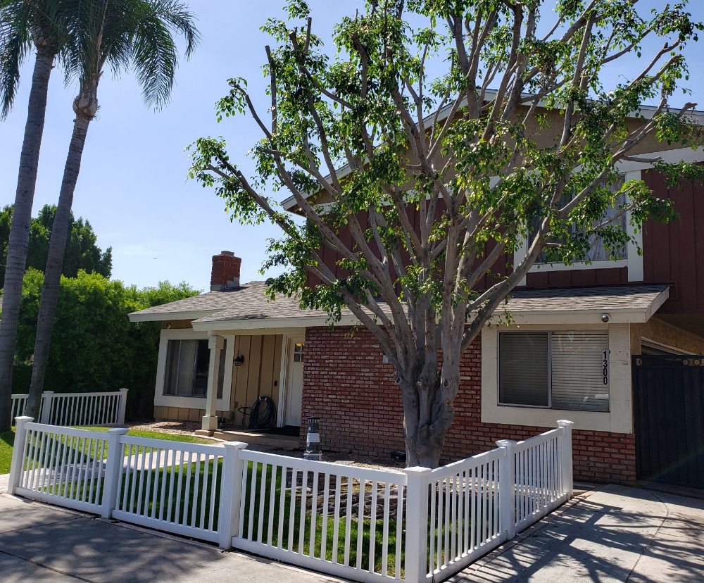 LIGHTHOUSE TREATMENT CENTER - Updated October 2024 - 41 Photos & 13 ...