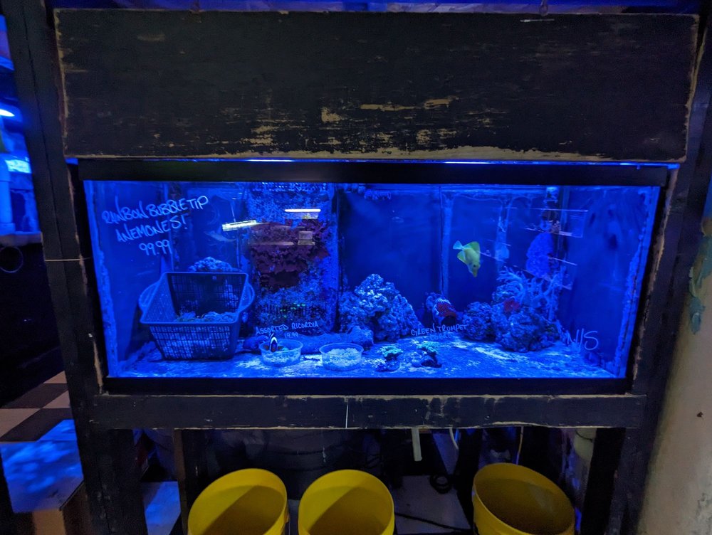 THE FISH PLACE - Updated November 2025 - 129 Photos & 84 Reviews - 141 ...