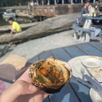 TAYLOR SHELLFISH FARMS - 1351 Photos & 388 Reviews - 2182 Chuckanut Dr ...