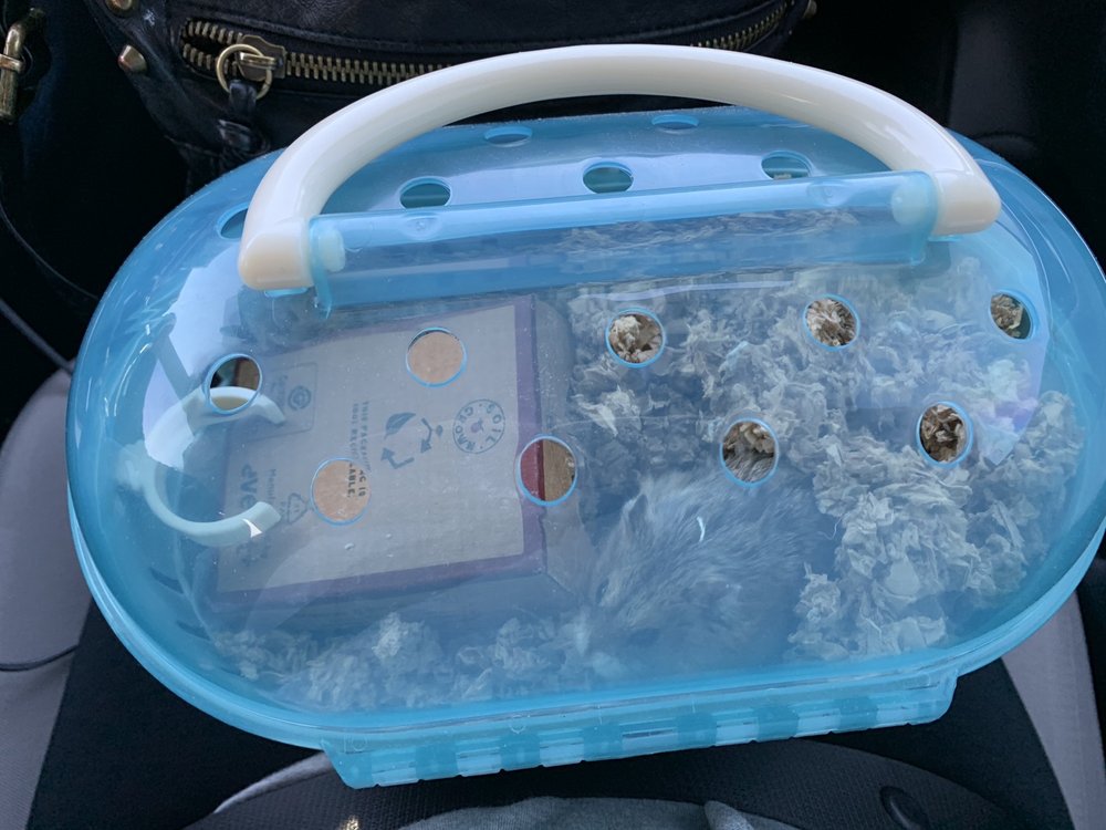 FOUR-LEGGED FRIENDS ANIMAL HOSPITAL - Updated October 2025 - 57 Photos ...