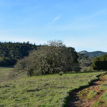 ANNADEL STATE PARK - Updated January 2026 - 334 Photos & 110 Reviews ...