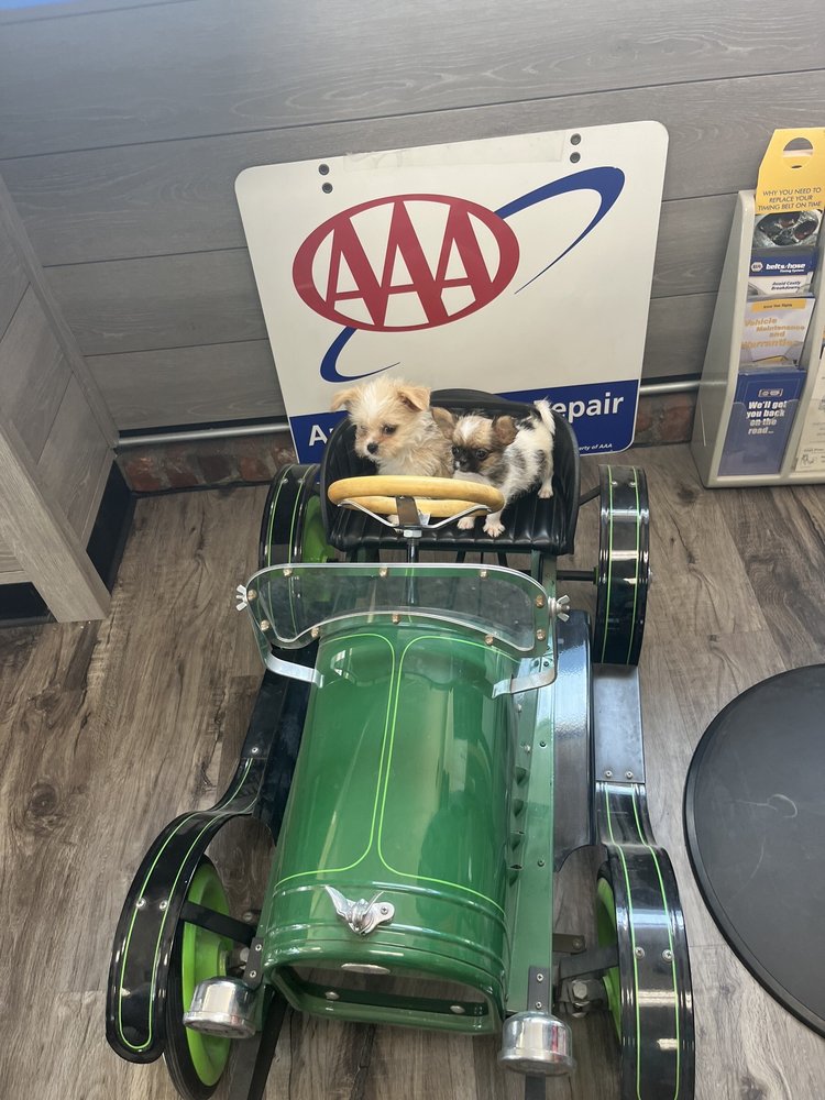 THE AUTO CONNECTION - Updated July 2025 - 21 Photos & 17 Reviews - 2037 ...