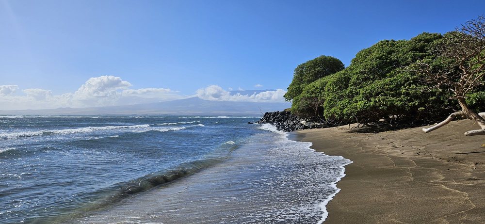 TIMESHARE CLOSING SERVICES - Updated December 2025 - 29 Reviews - 8545 ...