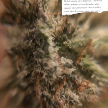 FIRST STATE COMPASSION - WILMINGTON - Updated July 2025 - 25 Photos ...