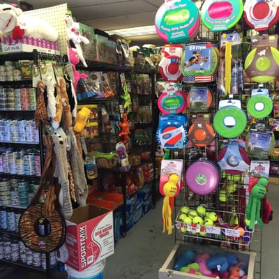 ONE STOP PET SHOP - Updated June 2026 - 10 Reviews - 136 Main St ...