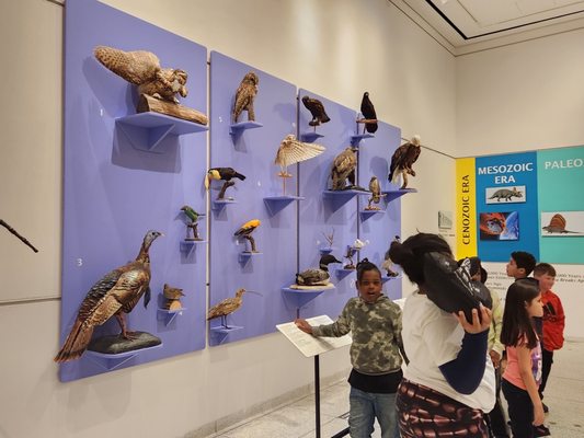 NEW JERSEY STATE MUSEUM - Updated August 2024 - 103 Photos & 27 Reviews ...