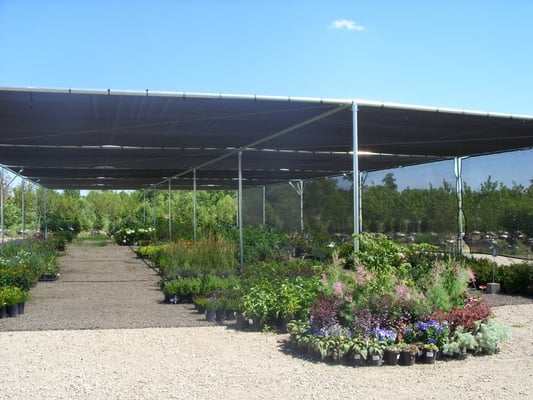 KAHNKE BROTHERS TREE FARM - Updated June 2026 - 11 Photos - 10603 Boone ...