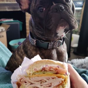 THE GIRLS DELI - 112 Photos & 161 Reviews - 3075 El Cajon Blvd, San ...