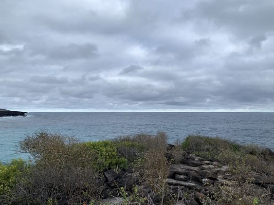 TRINITY WELLNESS CENTER - Updated December 2025 - 11 Photos & 21 ...