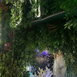 TULUM MEXICAN CUISINE - Updated December 2025 - 147 Photos & 79 Reviews ...