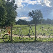 ARROWHEAD BIKE FARM - 209 Photos & 68 Reviews - Beer Gardens - 8263 ...
