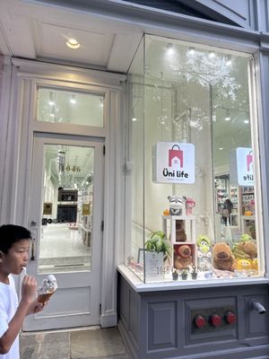 UNI-HOME LIFE - Updated August 2025 - 26 Photos - 1046 Chapel St, New ...