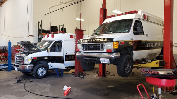 PACIFIC AUTO SERVICE - Updated October 2025 - 27 Photos & 164 Reviews ...