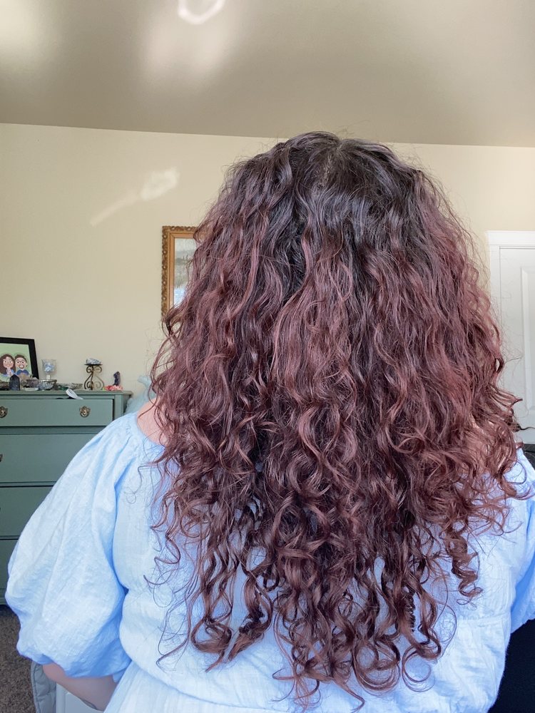 OLY CURL - Updated July 2025 - 10 Photos & 22 Reviews - 1619 4th Ave E ...