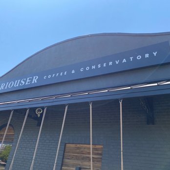 CURIOUSER COFFEE & CONSERVATORY - Updated March 2025 - 82 Photos & 36 ...