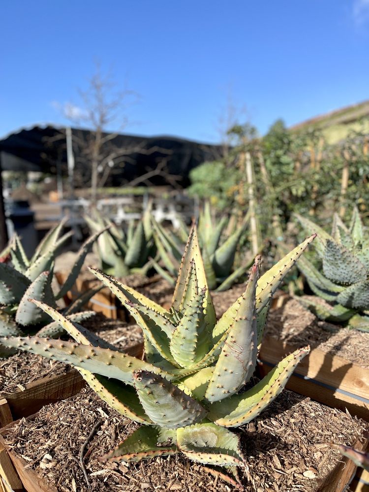 WATERWISE BOTANICALS - 362 Photos & 89 Reviews - 32151 Old Hwy 395 ...