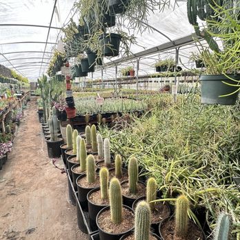 CALIFORNIA CACTUS RANCH - Updated December 2025 - 350 Photos & 91 ...