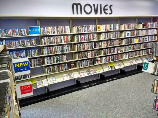 THE FIELD LIBRARY - Updated December 2025 - 42 Photos - 4 Nelson Ave ...