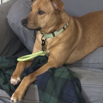 MILO FOUNDATION - Updated December 2024 - 236 Photos & 334 Reviews ...