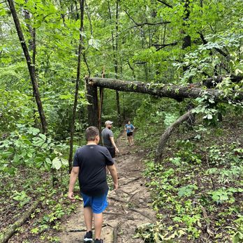 MACHINE FALLS LOOP TRAIL - Updated September 2025 - 95 Photos & 13 ...