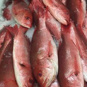 J DELUCA FISH COMPANY - 53 Photos & 15 Reviews - 2194 Signal Pl, San ...