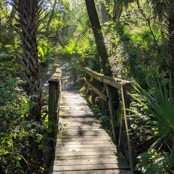 Little Big Econ State Forest - 84 Photos & 18 Reviews - Hiking - 1350 Snow Hill Rd, East Orlando ...