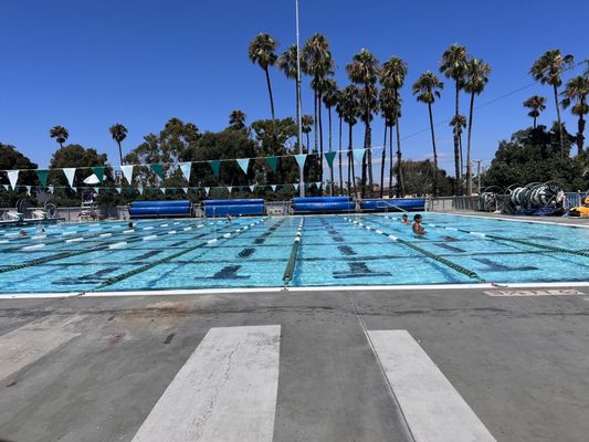 BELMONT PLAZA OLYMPIC POOL - Updated July 2025 - 39 Photos & 41 Reviews ...