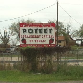 POTEET STRAWBERRY FESTIVAL. - Updated April 2025 - 92 Photos & 18 ...