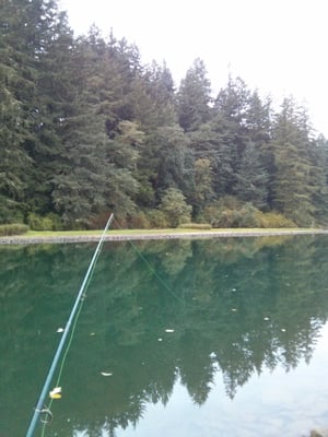 FARADAY LAKE - Updated December 2025 - 33832-33996 E Faraday Rd ...