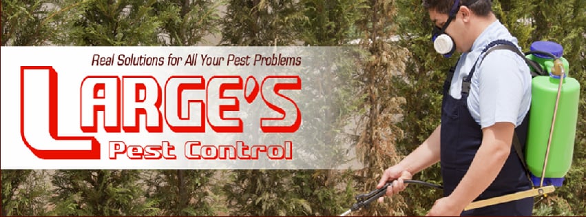 LARGE’S - Updated August 2025 - 8440 Cranes Nest Rd, Coeburn, Virginia ...