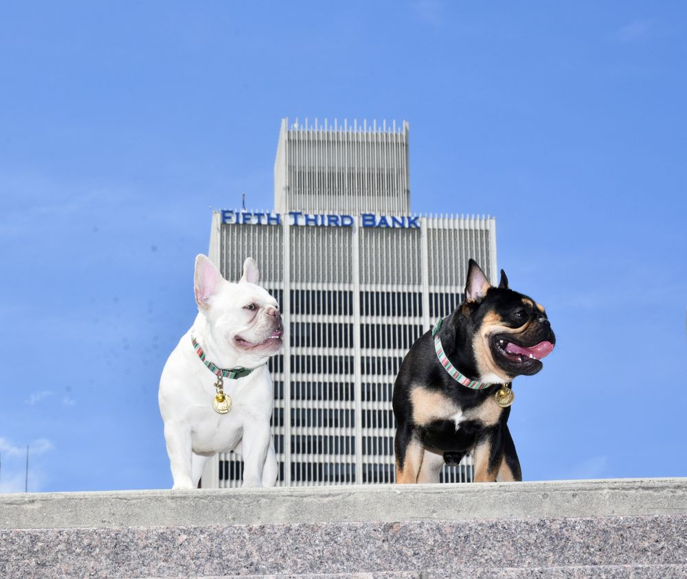 EXQUISITE TASTE KENNELS - Updated October 2024 - Request Information ...