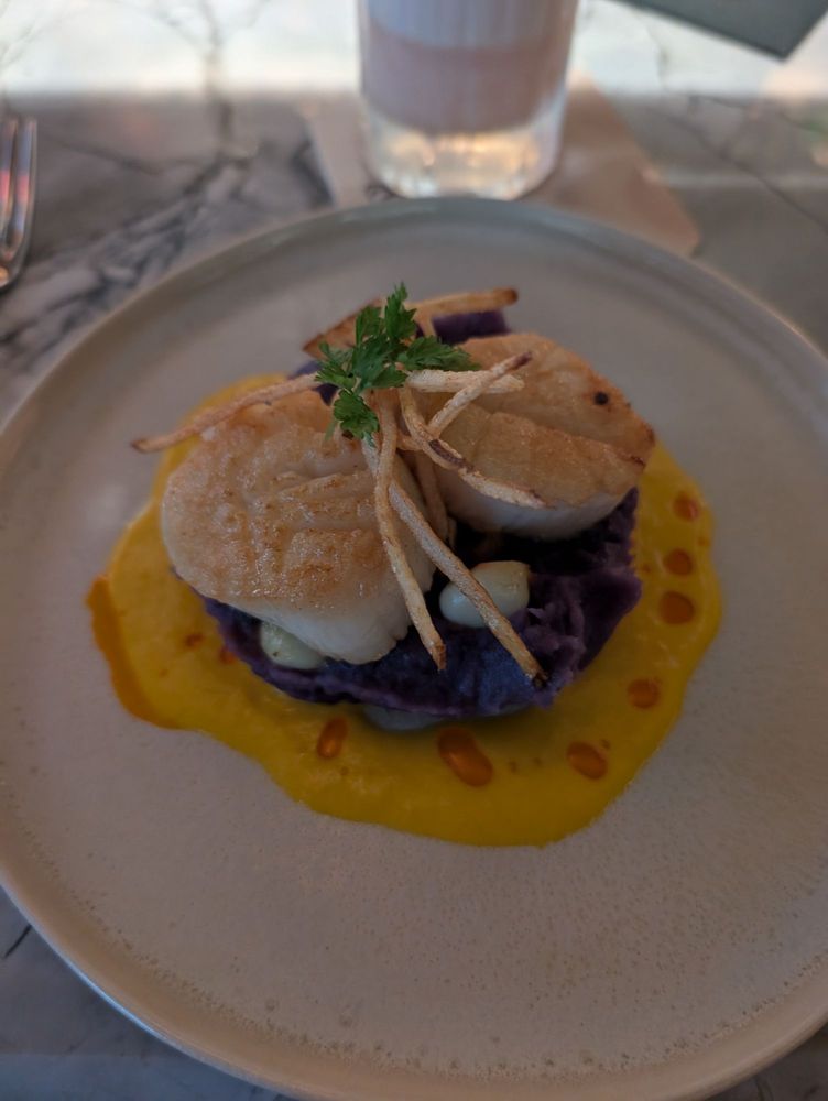 PLUMA LOUNGE - Updated January 2025 - 28 Photos - 400 Beach Dr NE, St ...